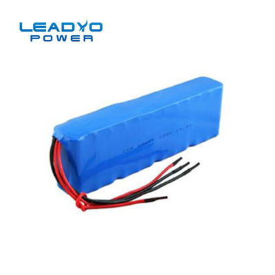 Quality Leadyo Battery & Custom Lithium Battery factory from China