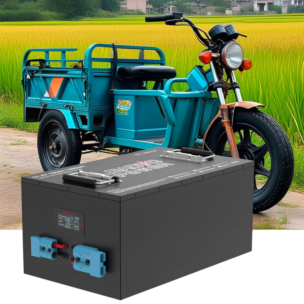 Custom 48V 150Ah LiFePO4 Lithium Battery for Tuk Tuk Moto Taxi Three ...